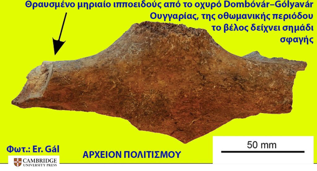 Οι άνθρωποι εξακολουθούσαν να καταναλώνουν κρέας αλόγων και μετά την ...