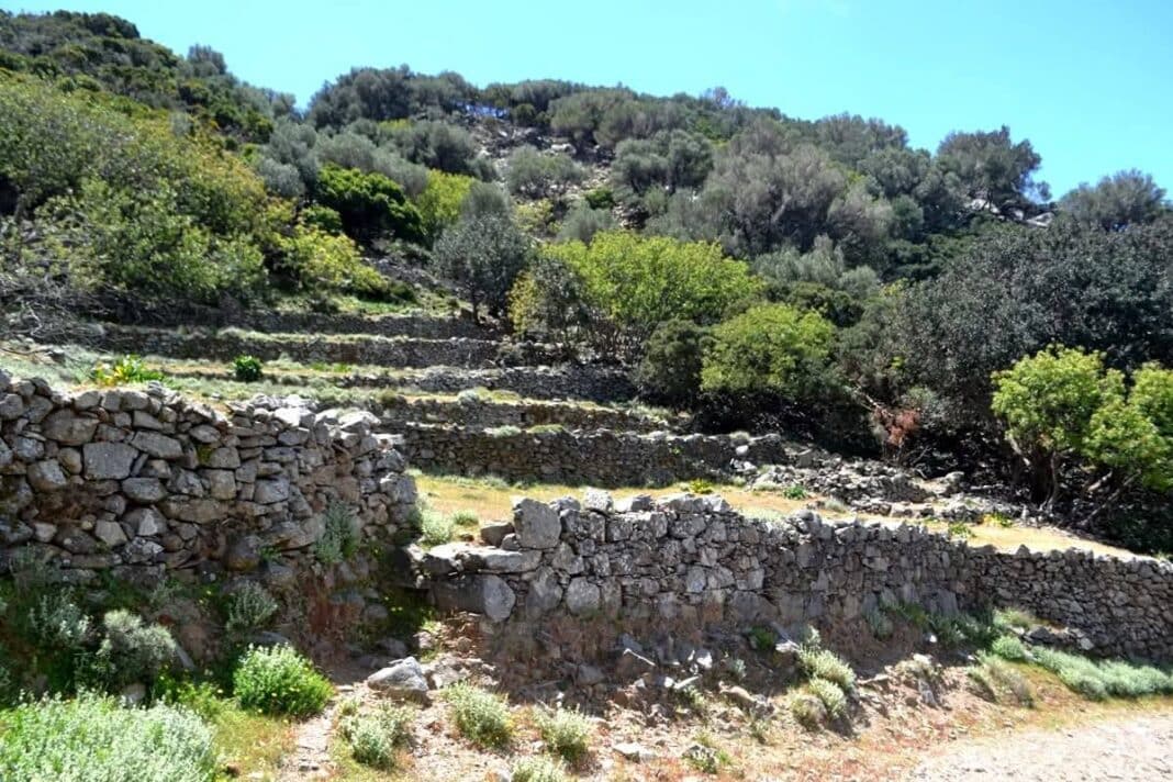 ΕΞΑΦΑΝΙΣΜΕΝΕΣ ΓΕΙΤΟΝΙΕΣ ΚΙΣΣΑΜΟΥ ΧΑΝΙΩΝ ΚΡΗΤΗΣ: Κατσιλιανά - του Ι ...