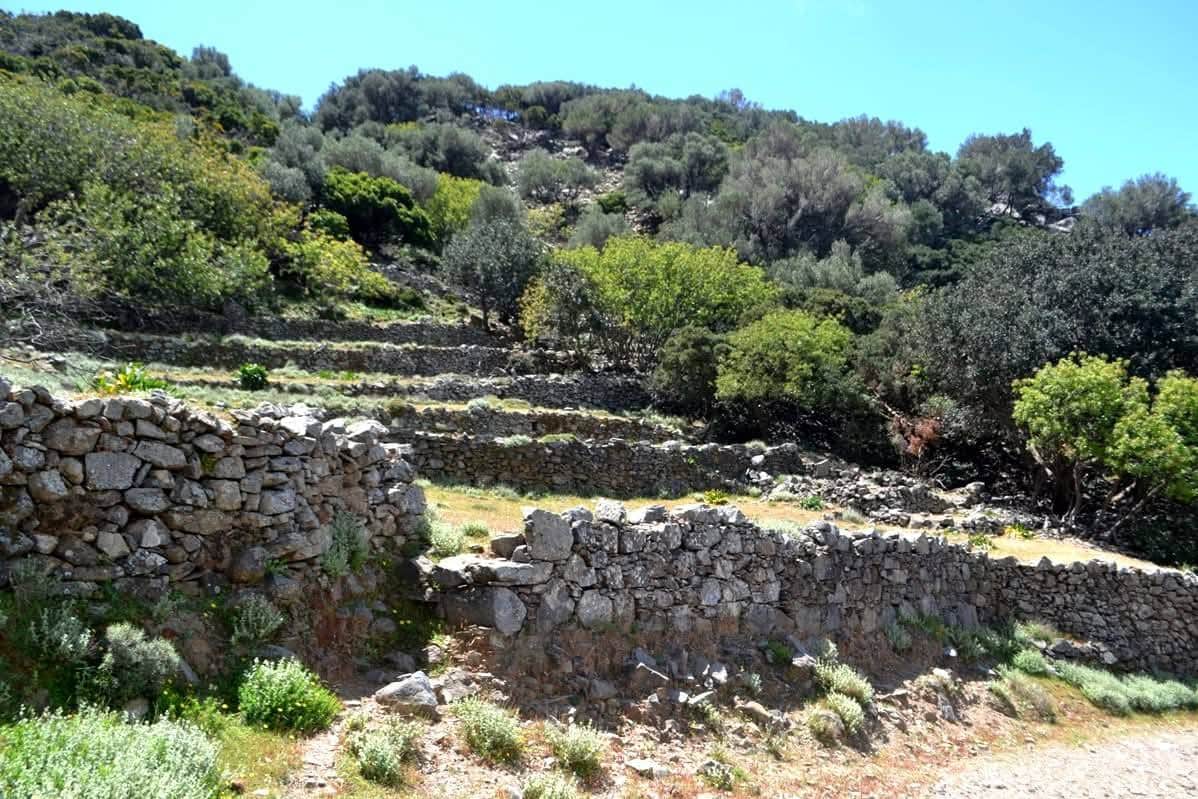 ΕΞΑΦΑΝΙΣΜΕΝΕΣ ΓΕΙΤΟΝΙΕΣ ΚΙΣΣΑΜΟΥ ΧΑΝΙΩΝ ΚΡΗΤΗΣ: Κατσιλιανά - του Ι ...