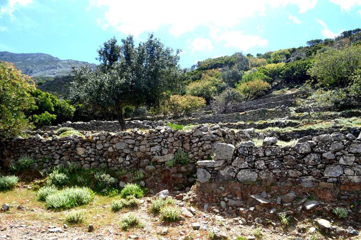 ΕΞΑΦΑΝΙΣΜΕΝΕΣ ΓΕΙΤΟΝΙΕΣ ΚΙΣΣΑΜΟΥ ΧΑΝΙΩΝ ΚΡΗΤΗΣ: Κατσιλιανά - του Ι ...