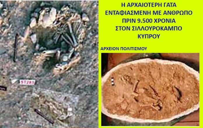 ΑΝΑΤΡΟΠΗ: Η αρχαιότερη σχέση ανθρώπου–γάτας ευρέθη στην Κύπρο και έγινε ...